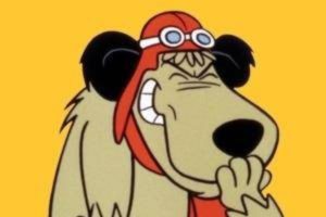 Conoce a Muttley, mejor conocido como Patán - Wow Mascota